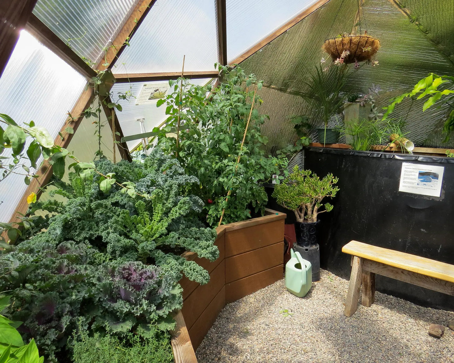 15' Growing Dome Small Greenhouse Kit – Growing Spaces