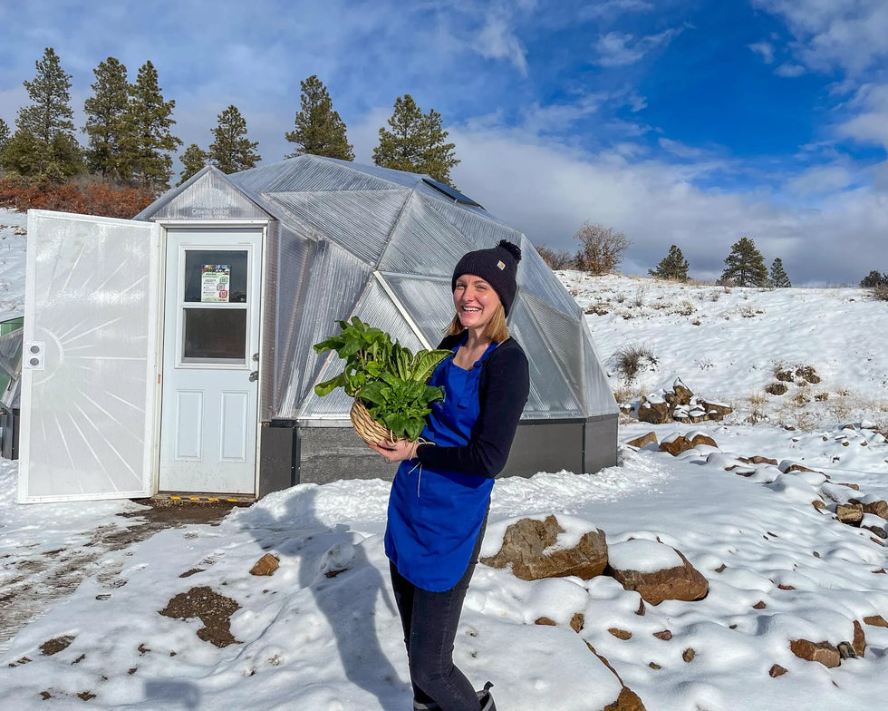 22' Growing Dome Greenhouse Kit – Growing Spaces