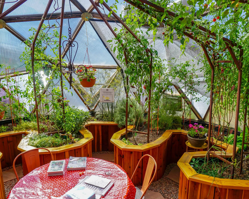 22' Growing Dome Greenhouse Kit – Growing Spaces