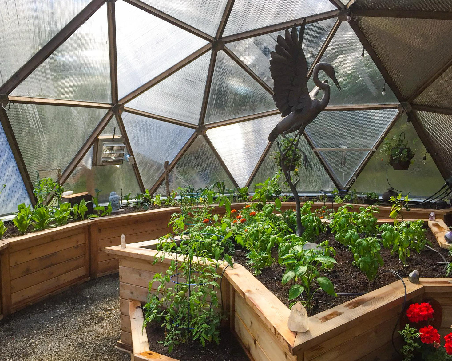 22' Growing Dome Greenhouse Kit – Growing Spaces