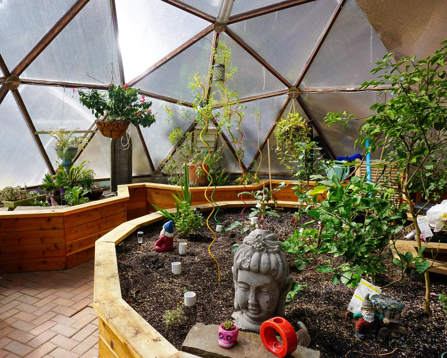 26' Growing Dome Greenhouse Kit – Growing Spaces