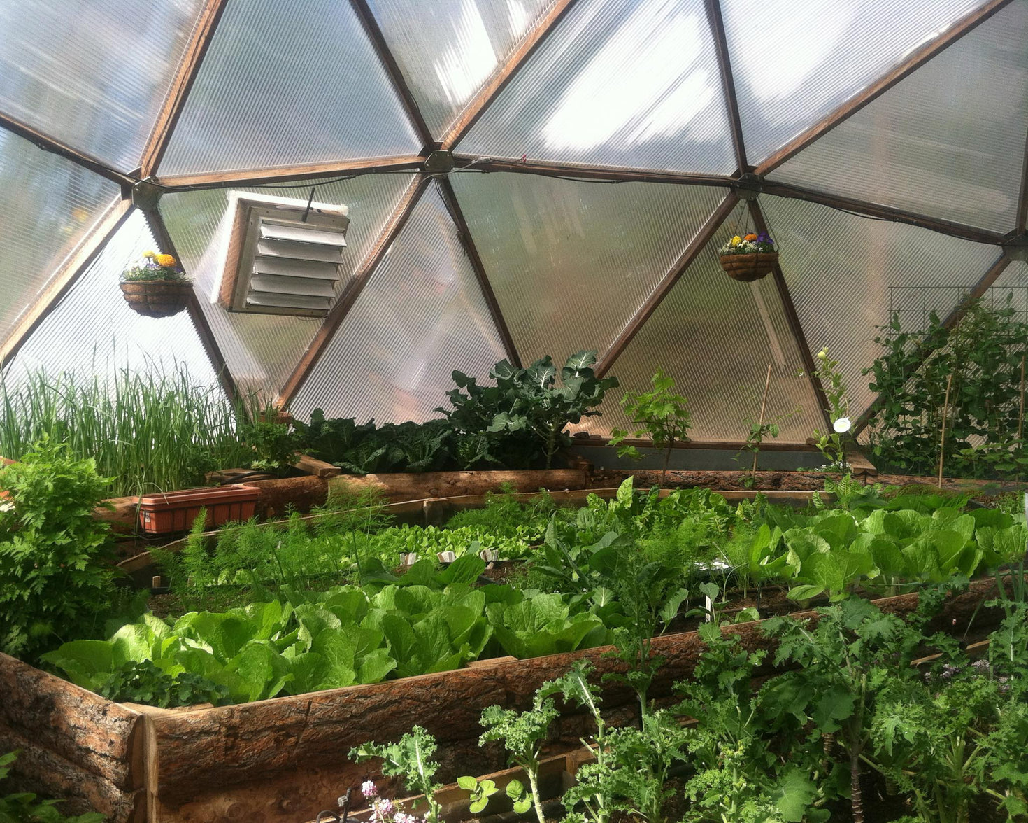 33' Growing Dome Greenhouse Kit (Electric) – Growing Spaces