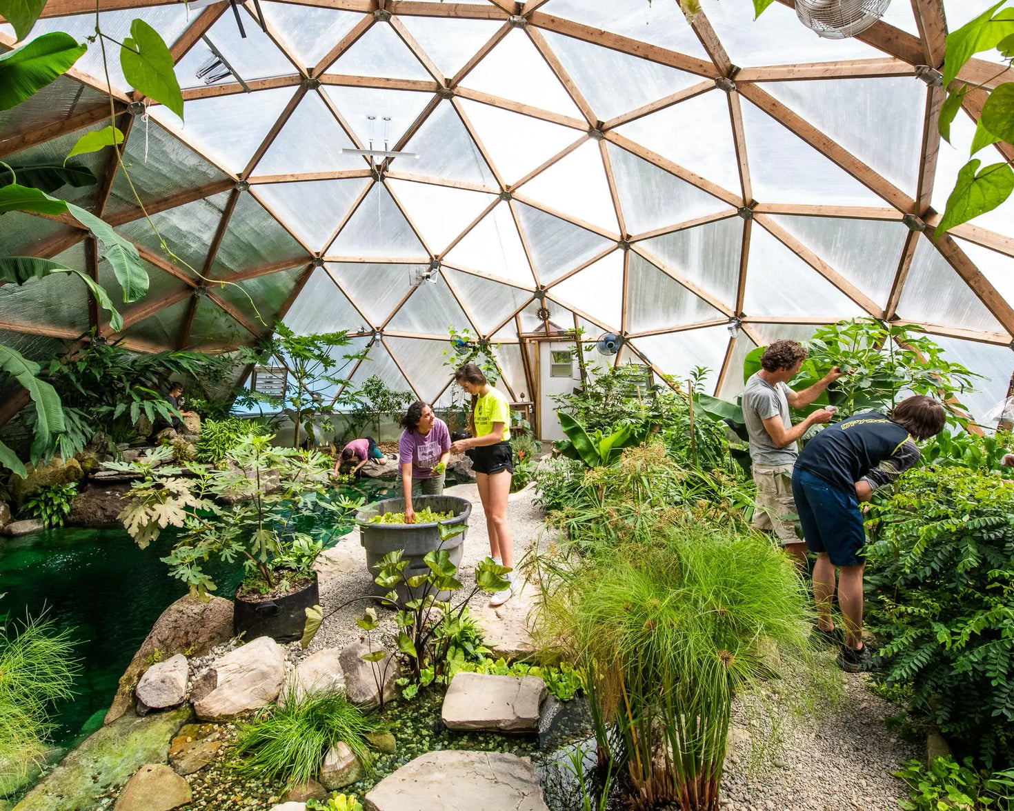 42' Growing Dome Large Greenhouse Kit (Electric) – Growing Spaces